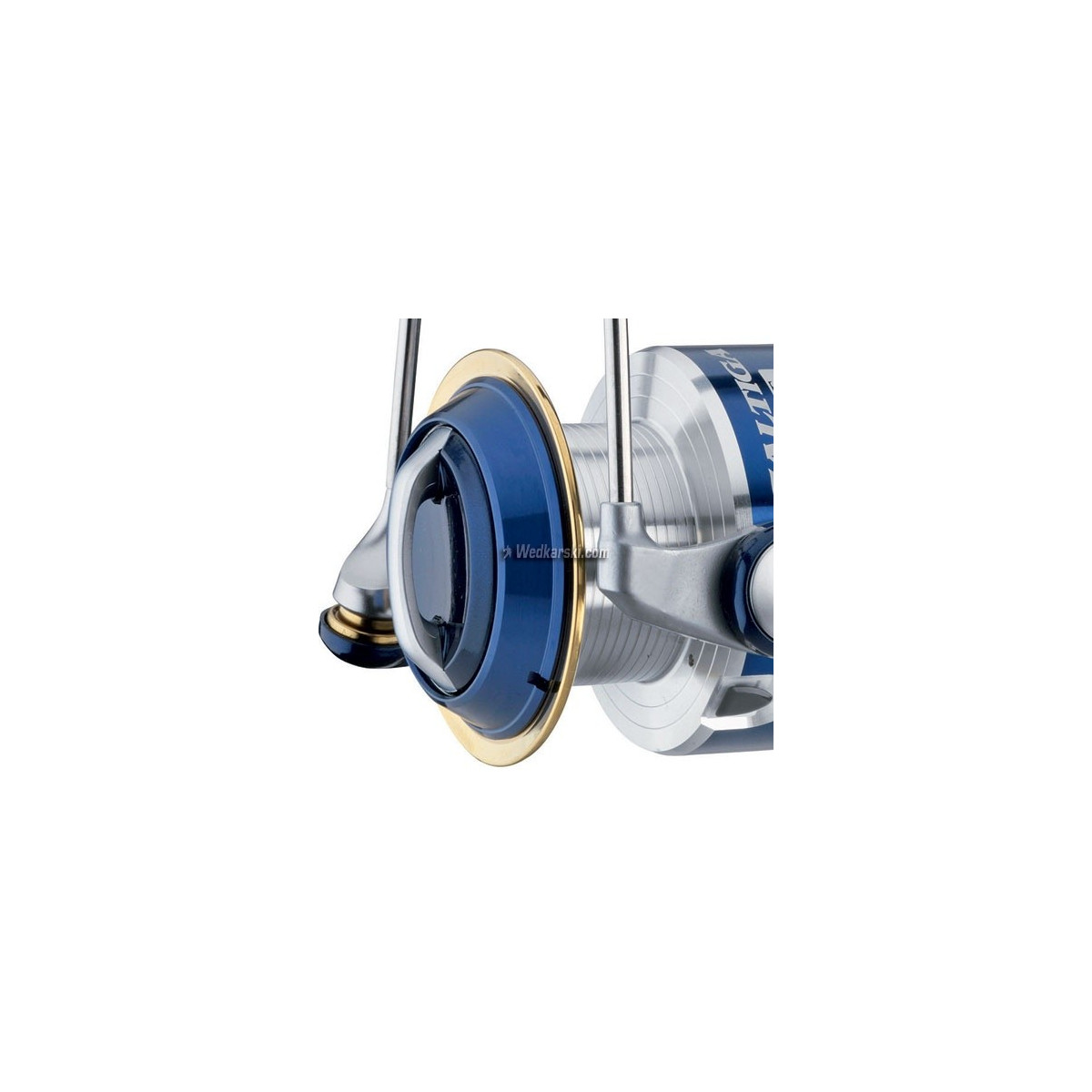 Kołowrotek Daiwa Saltiga Game 3500 Hamulec: FD - Wedkarski.com